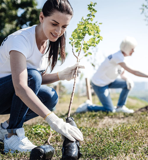 The Paperless Project | Micro Key Solutions