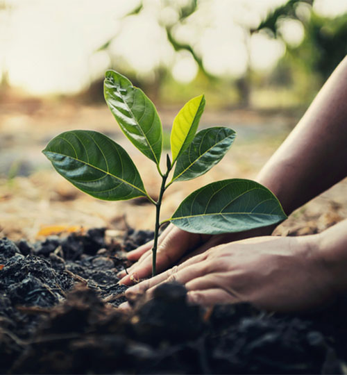 The Paperless Project | Micro Key Solutions