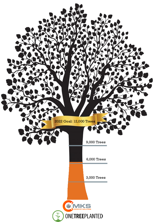 Micro Key's Woman in Power - Victoria Ferro - Micro Key Solutions